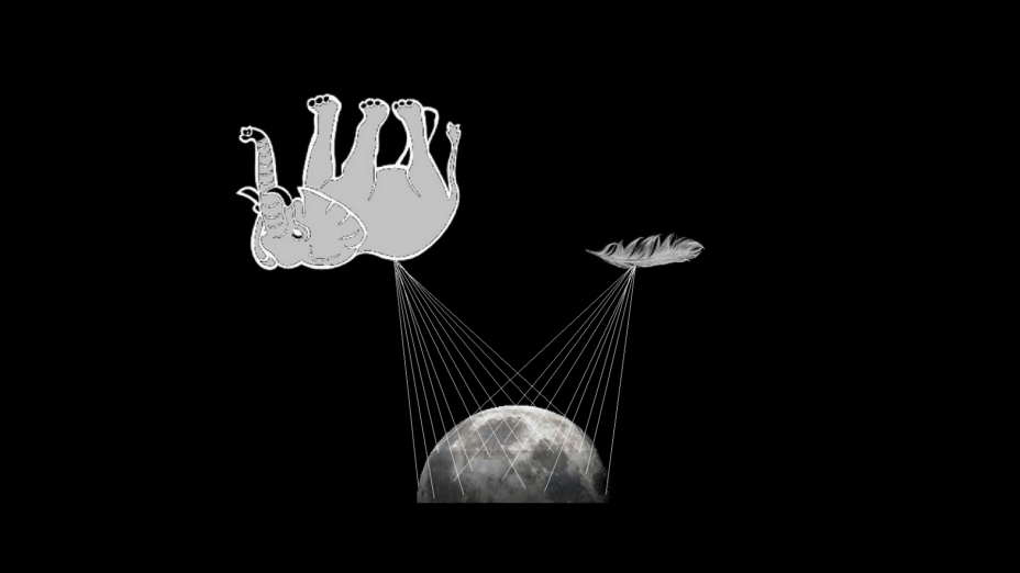 About – The Rope Hypothesis